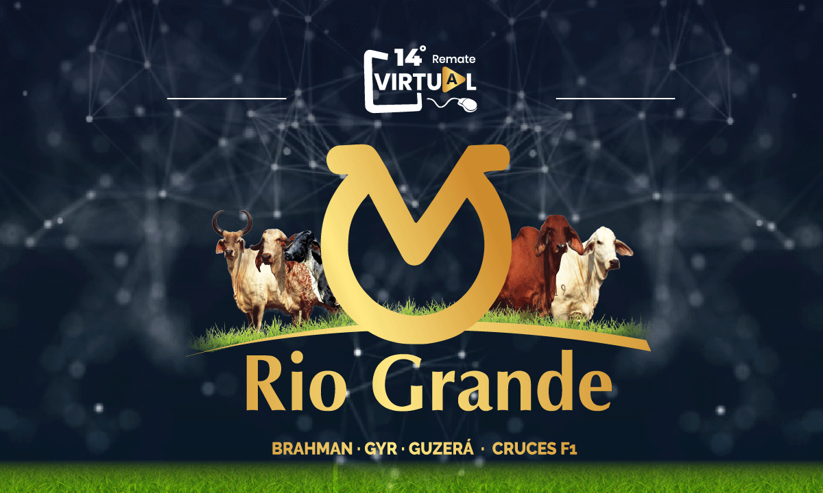 Subasta de Ganado en Colombia 📈 - Subastar S.A